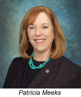 Lessons from Pat Meeks, HawkSoft's 2020 Dick Fanazick Award Winner